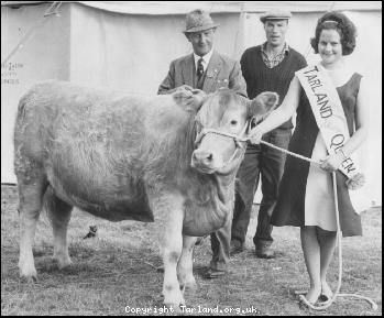 Tarland Show - Visit Tarland